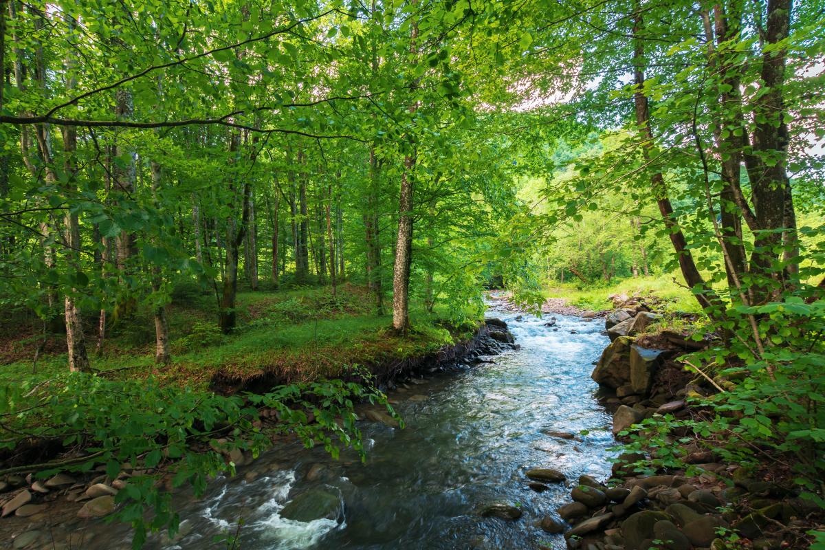 Klimaangepasstes Wasserkonzept für die Region Oberhessen | hessen.de